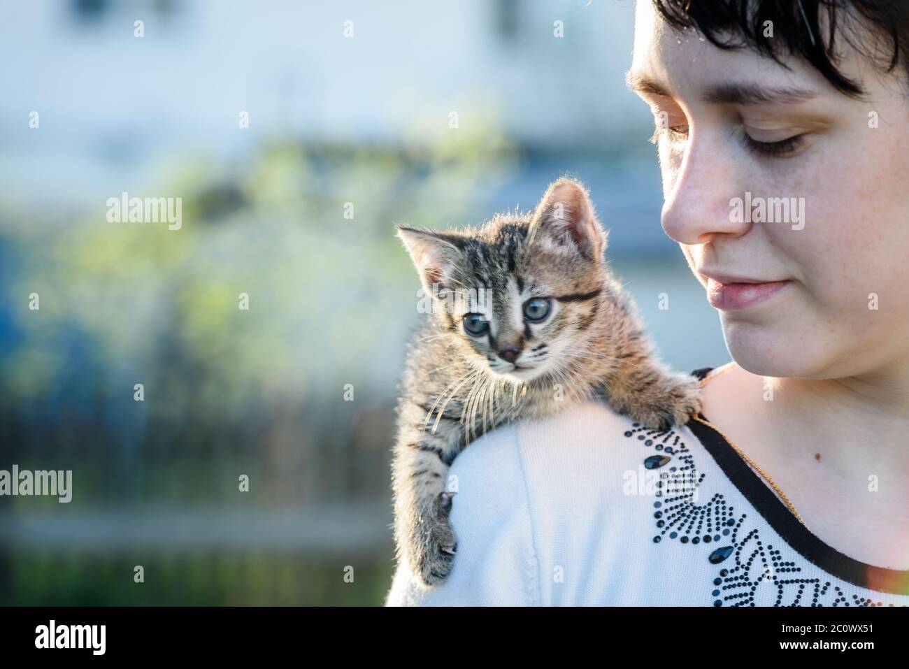 A small kitten sitting on the shoulder of a girl on a walk Stock Photo ...