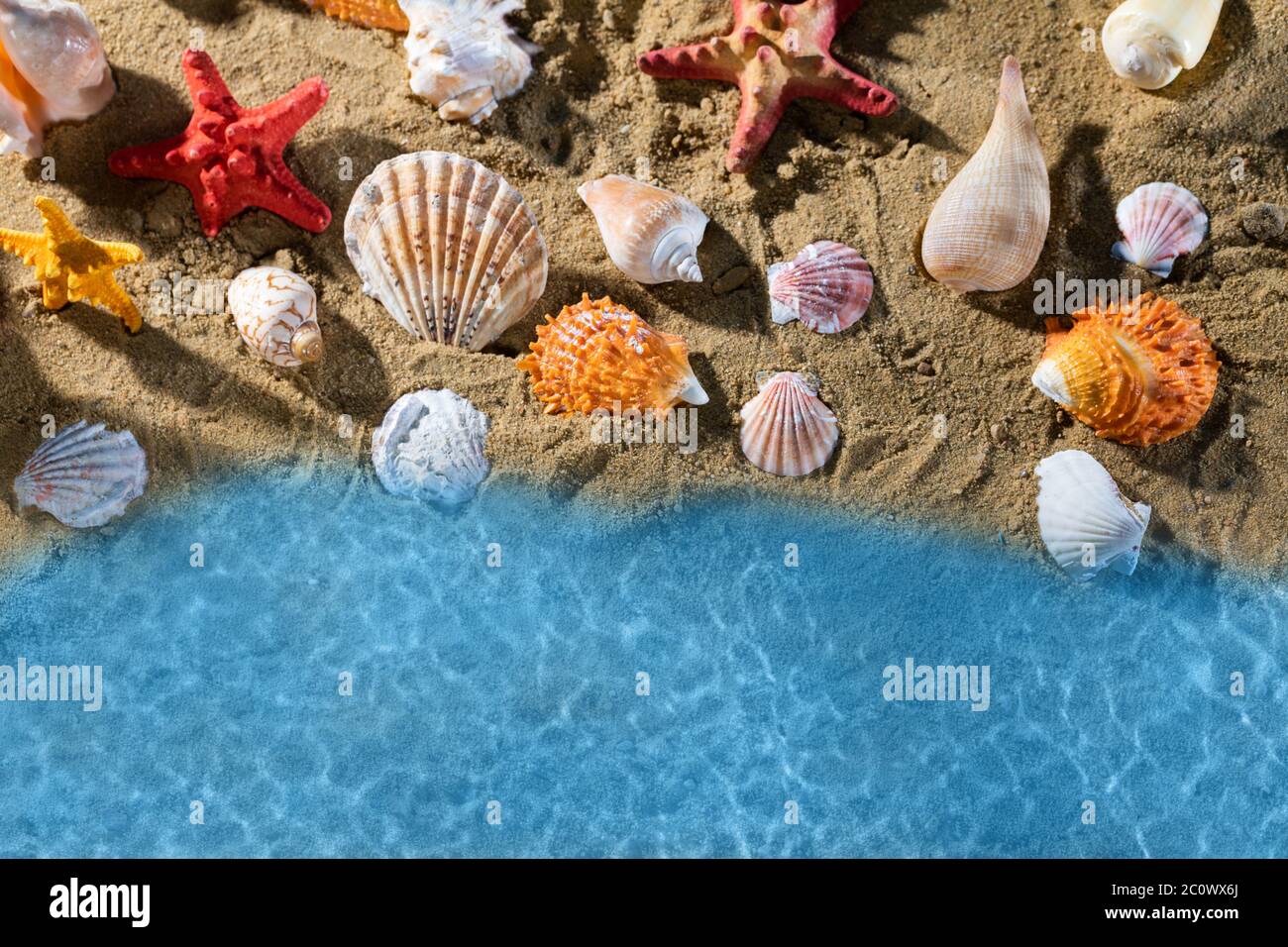 Bright blue sea waves wash the sandy beach full of empty snail shells ...