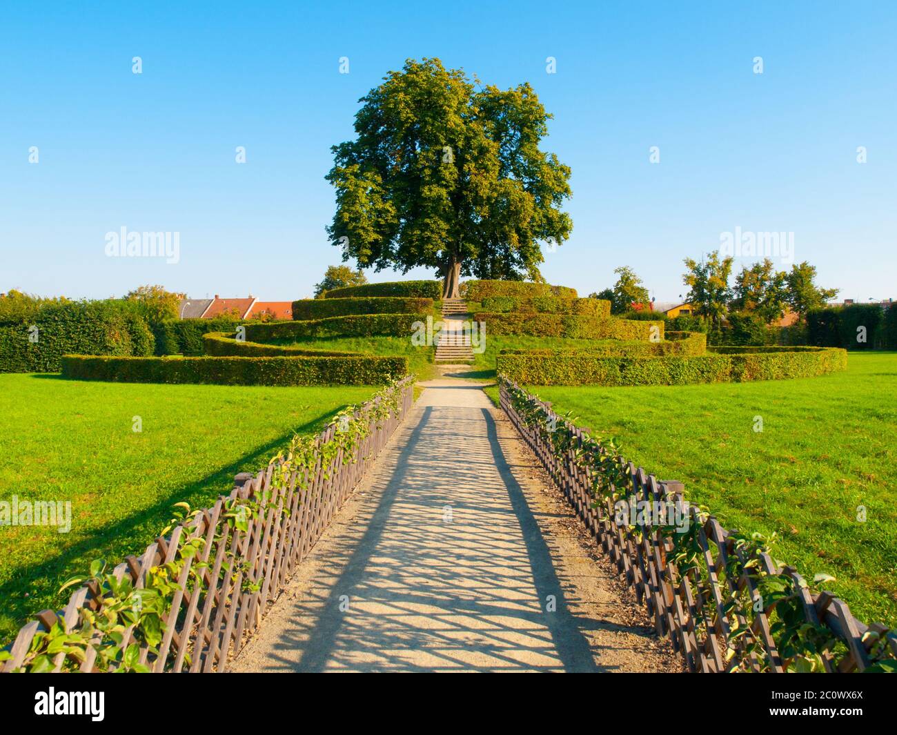 Park walkway leads to lush green deciduous tree on a Strawberry hill in ...
