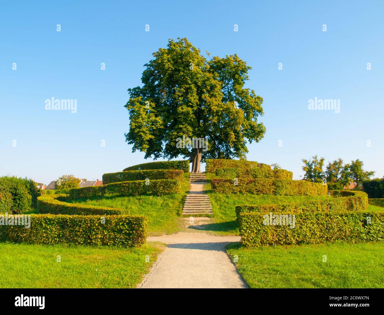 Park walkway leads to lush green deciduous tree on a Strawberry hill in ...