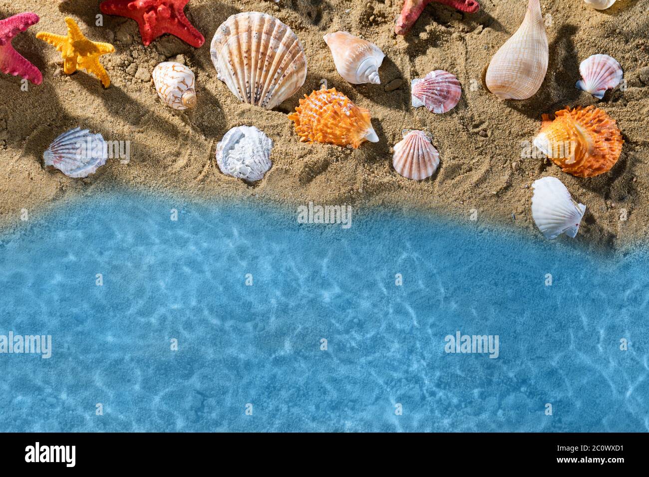 Bright blue sea waves wash the sandy beach full of empty snail shells ...