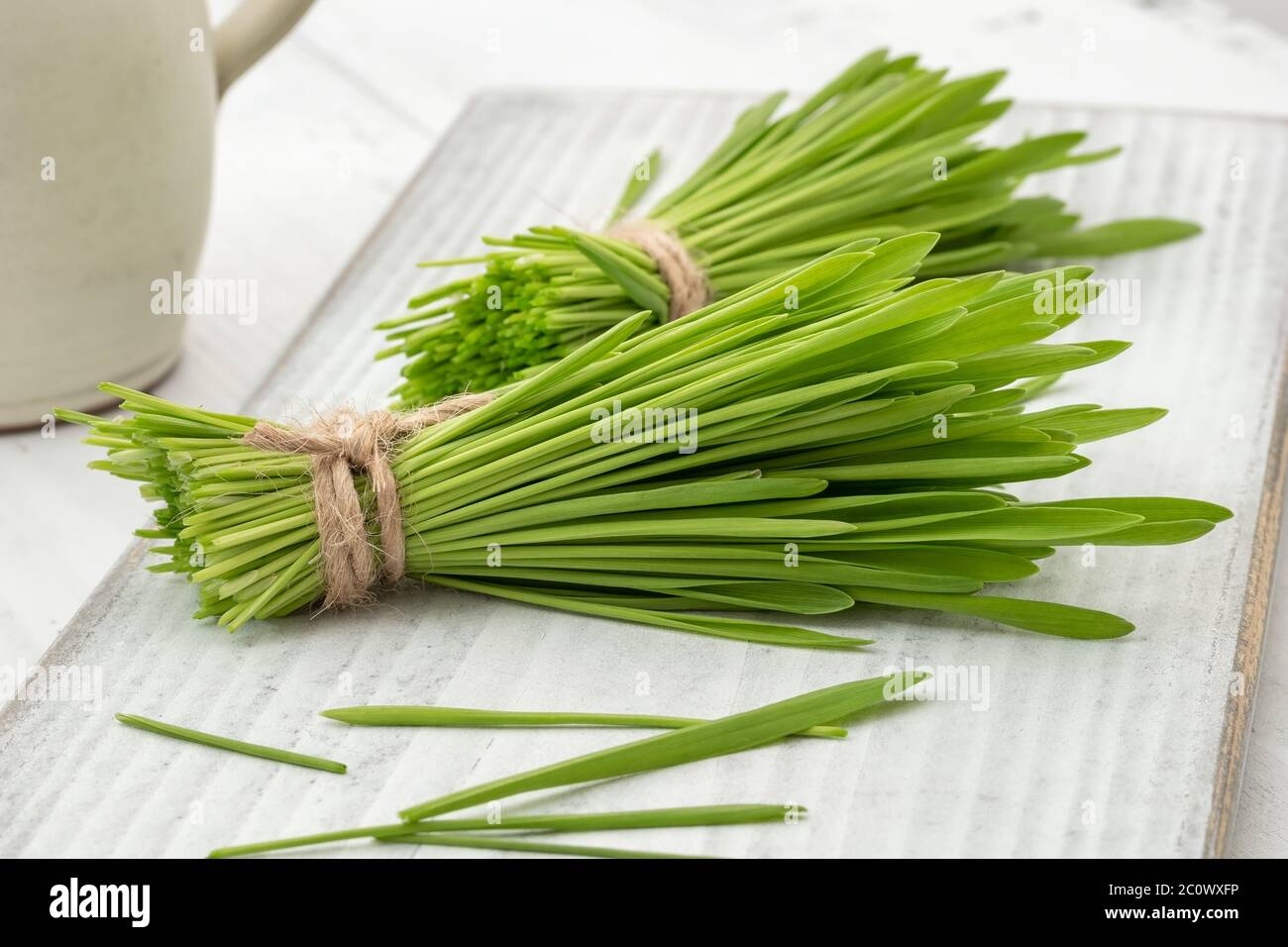Barley grass on a white background Stock Photo - Alamy