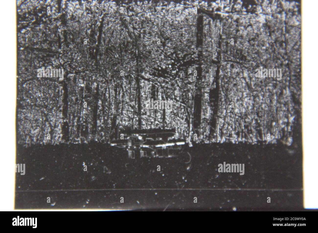 Fine 1970s vintage black and white photography of the beauty of nature ...