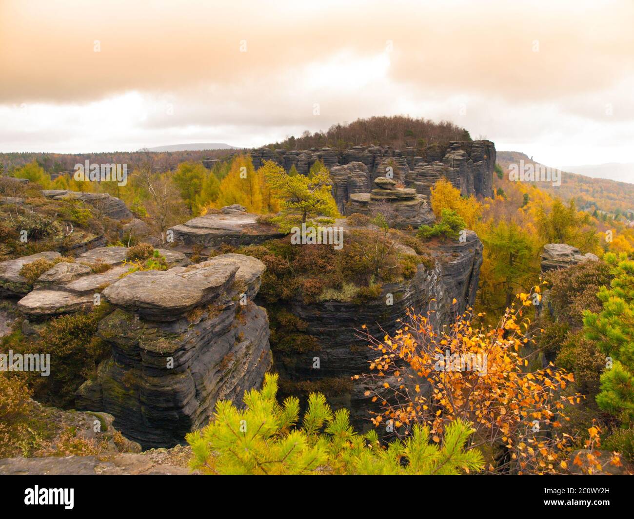 Rock tree forest hi-res stock photography and images - Alamy