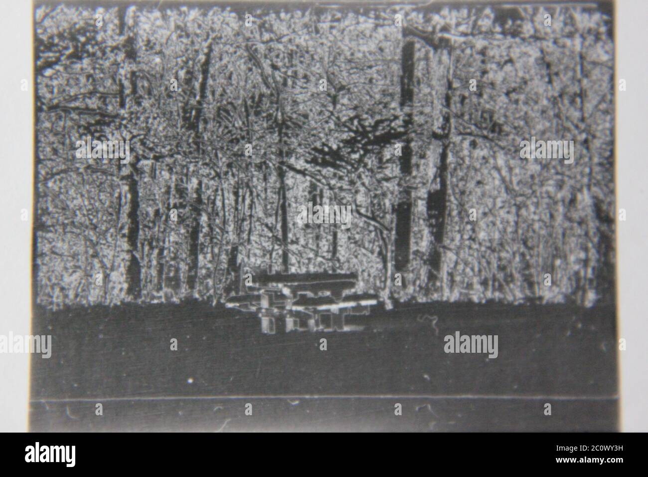 Fine 1970s vintage black and white photography of the beauty of nature ...