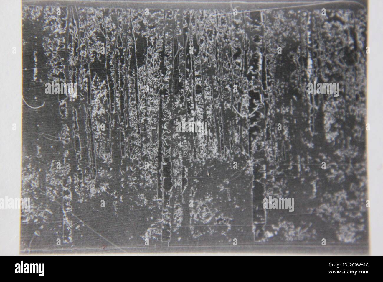 Fine 1970s vintage black and white photography of the beauty of nature ...