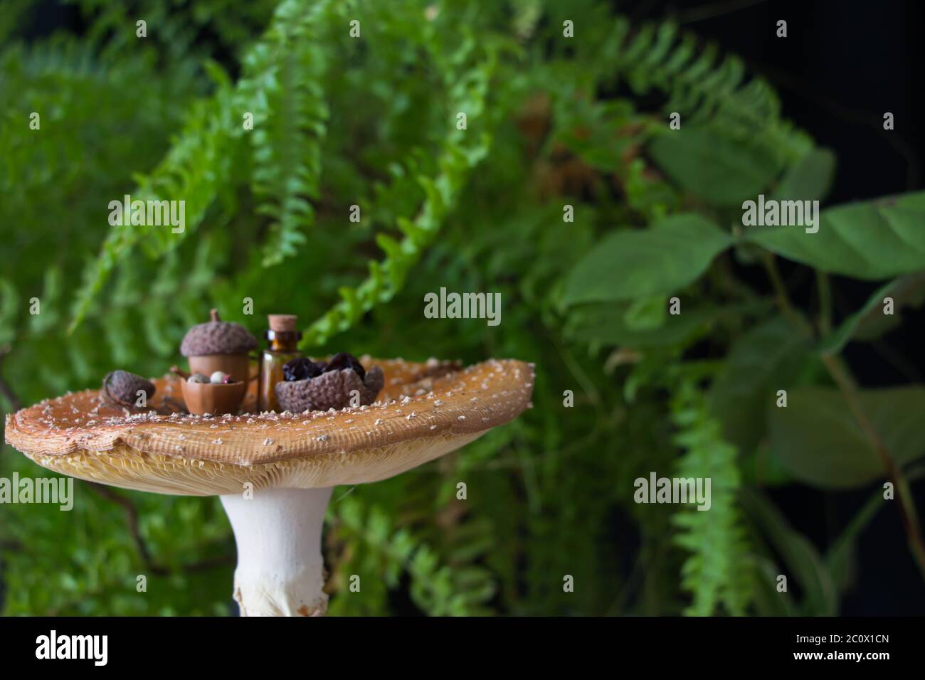 Fly agaric (Amanita muscaria) tea time table in vegetation Stock Photo ...