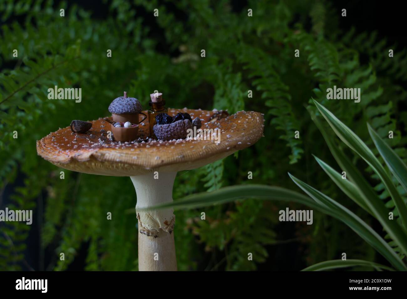 Fly agaric (Amanita muscaria) tea time table in vegetation Stock Photo ...