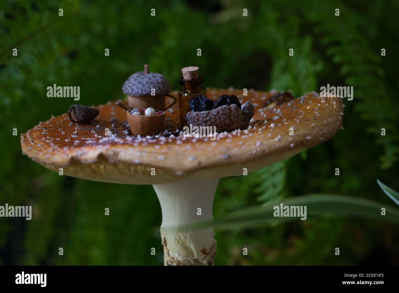 Fly agaric (Amanita muscaria) tea time table in vegetation Stock Photo ...