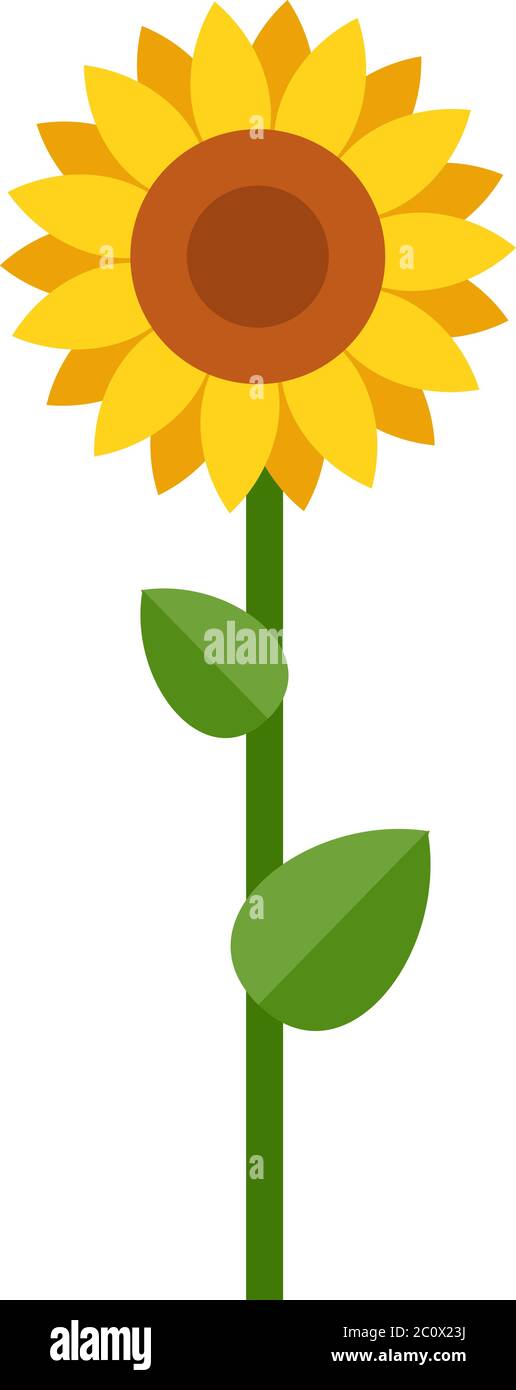 One blooming sunflower vector flat isolated Stock Vector Image & Art ...