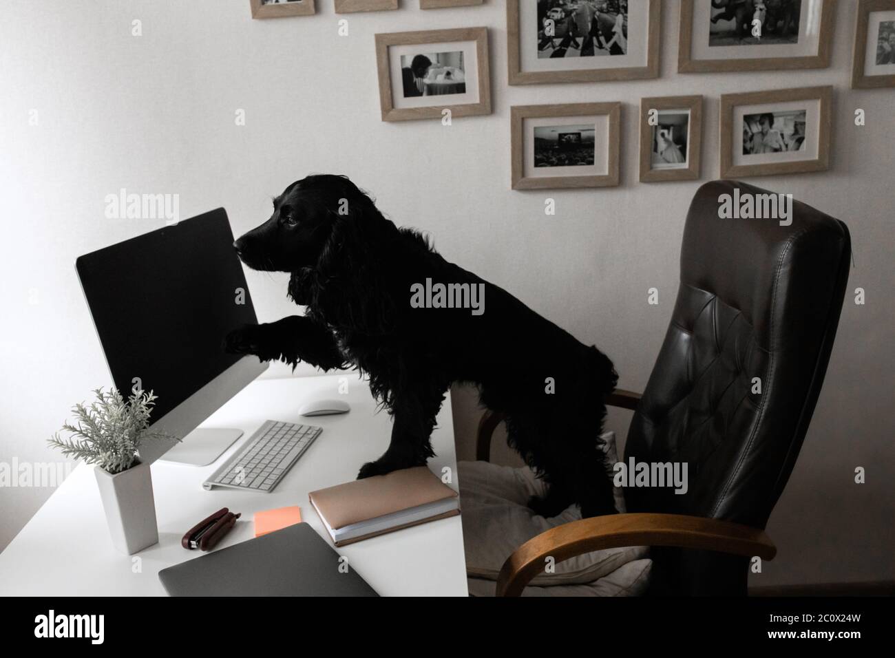 German wireless room hi-res stock photography and images - Alamy