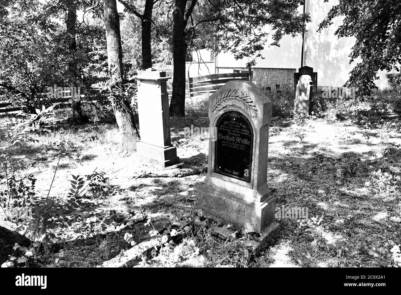 Old abandoned cemetery from the 19th century. Puszczykowiec, Poland ...
