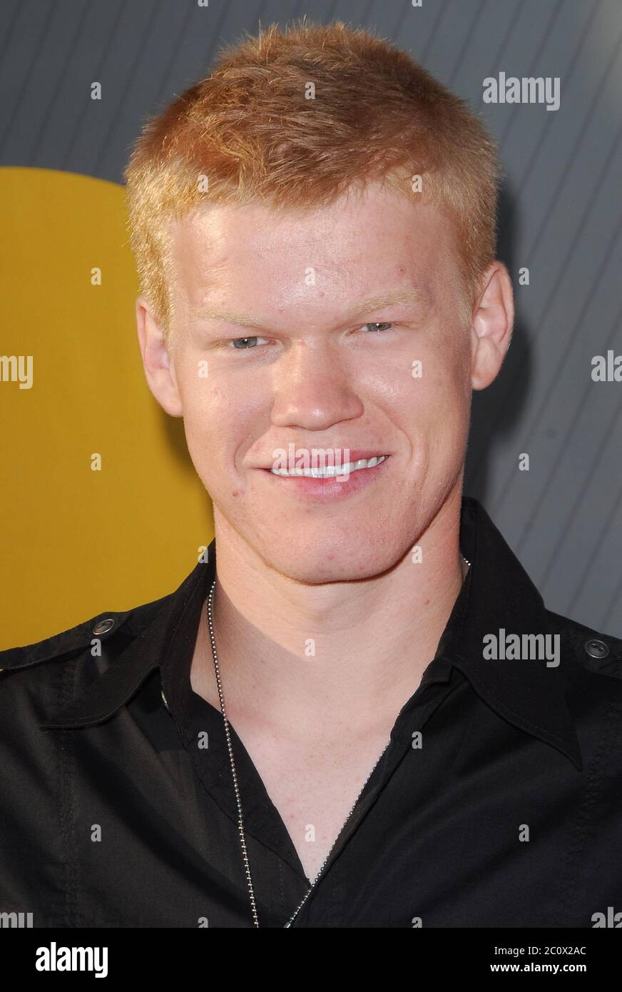 Jesse Plemmons at the NBC TCA Party held at The Beverly Hilton Hotel in ...