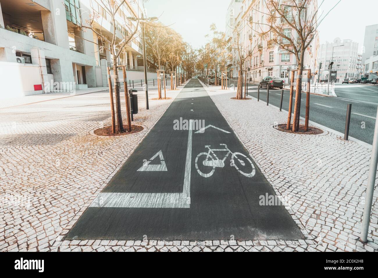 Wide-angle shot of asphalt bicycle lane and a running track in urban ...