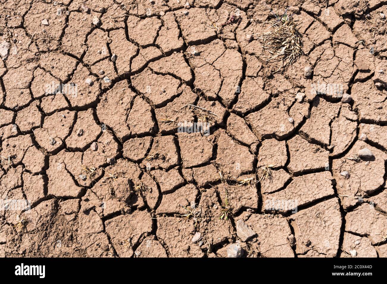 Broken soil hi-res stock photography and images - Alamy
