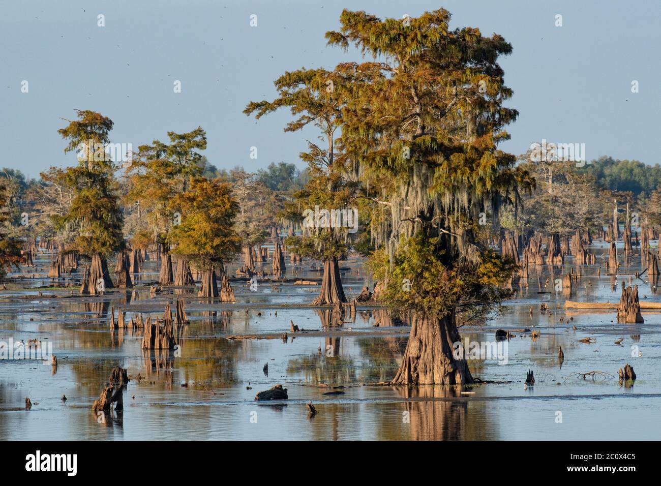 Atchafalaya basin bridge hi-res stock photography and images - Alamy