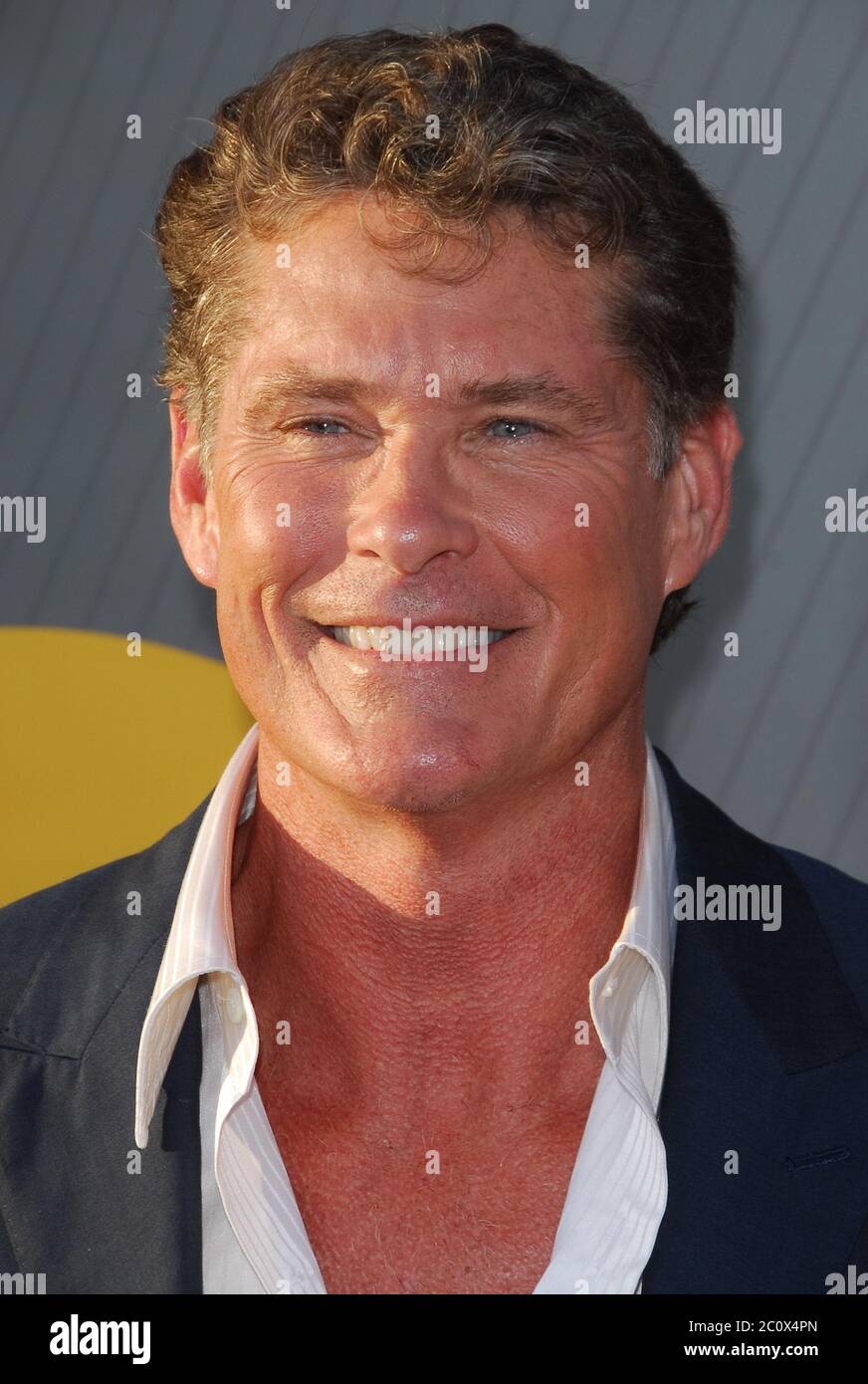 David Hasselhoff at the NBC TCA Party held at The Beverly Hilton Hotel ...