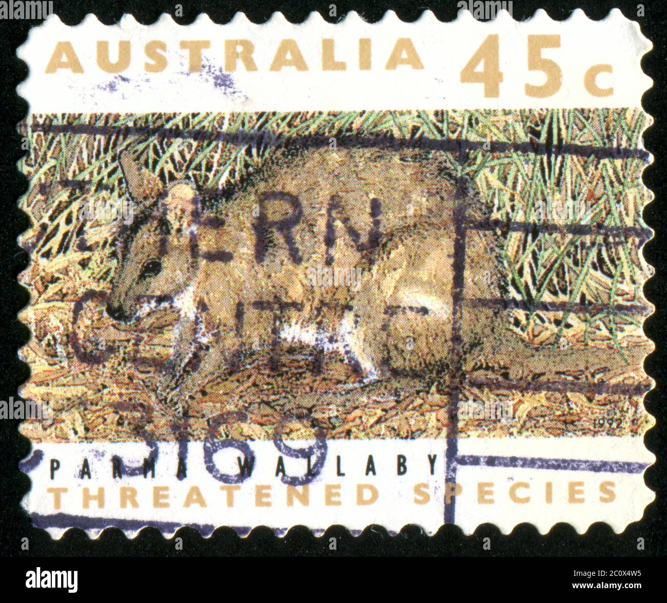 Platypus Australia Postage Stamp Hi-res Stock Photography, 52% OFF
