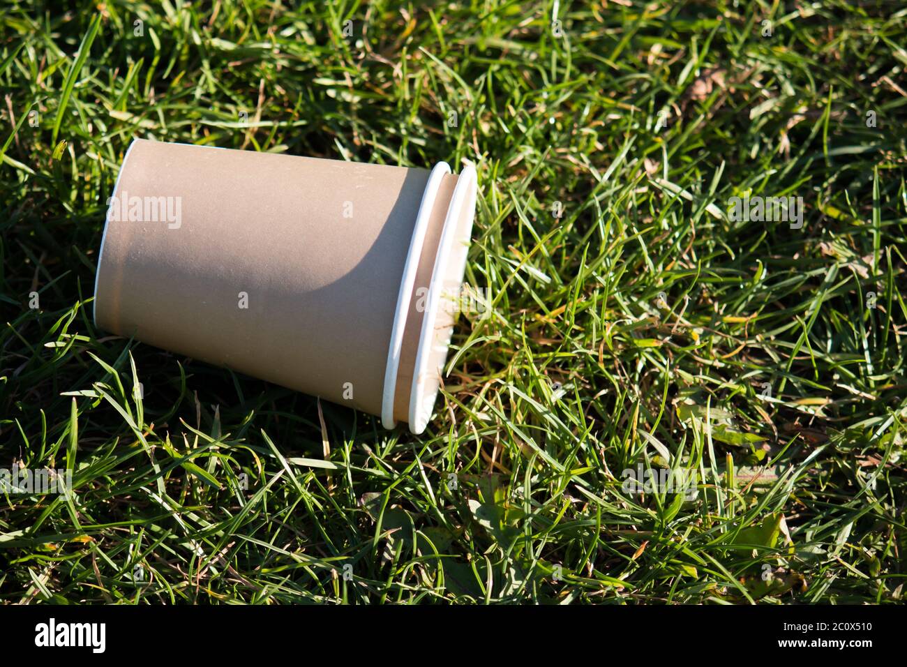 Two nested empty cardboard cups in the grass in evening light Stock ... Two nested empty cardboard cups in the grass in evening light Stock ...