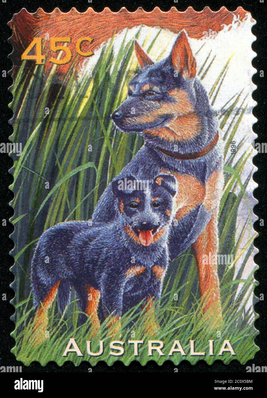 AUSTRALIA - CIRCA 1996: stamp printed by Australia, shows Dog, puppy ...