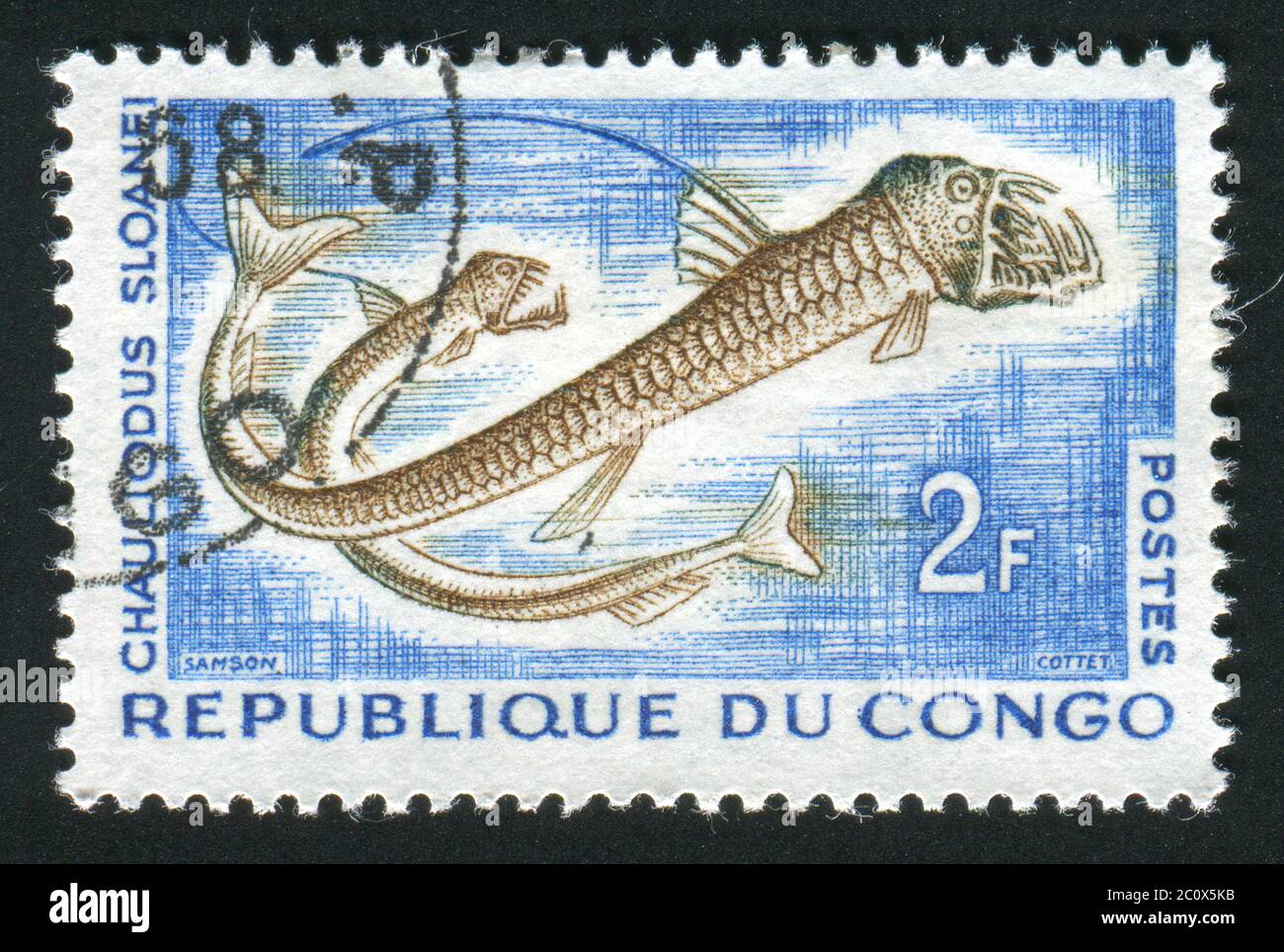 Genus chauliodus hi-res stock photography and images - Alamy