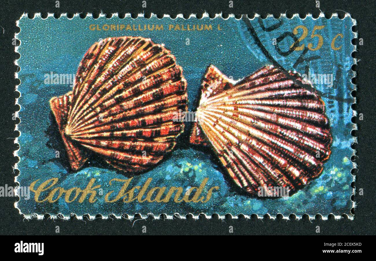 COOK ISLANDS - CIRCA 1975: Gastropod shell is a shell which is part of ...