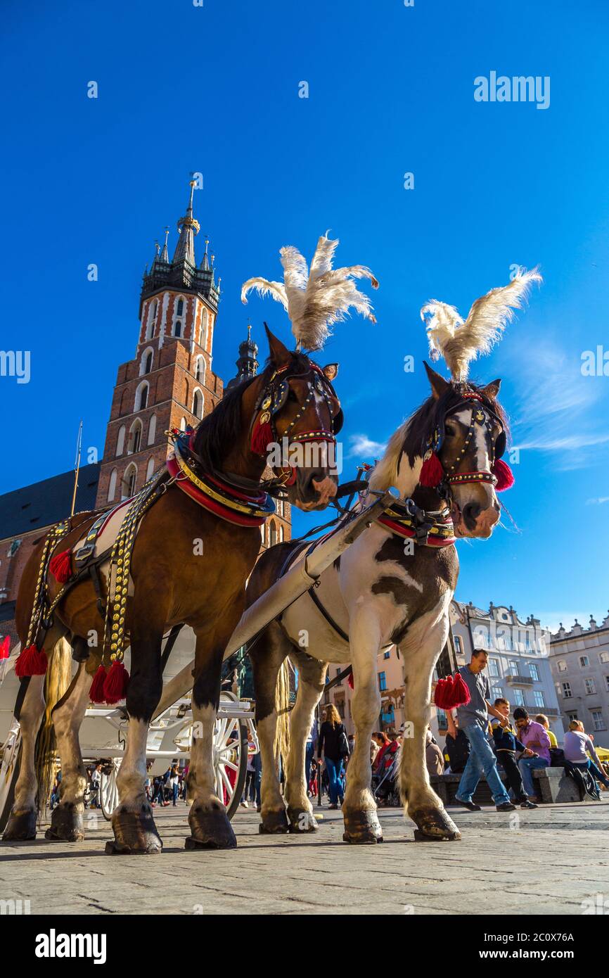 Horse carriages in square hi-res stock photography and images - Alamy