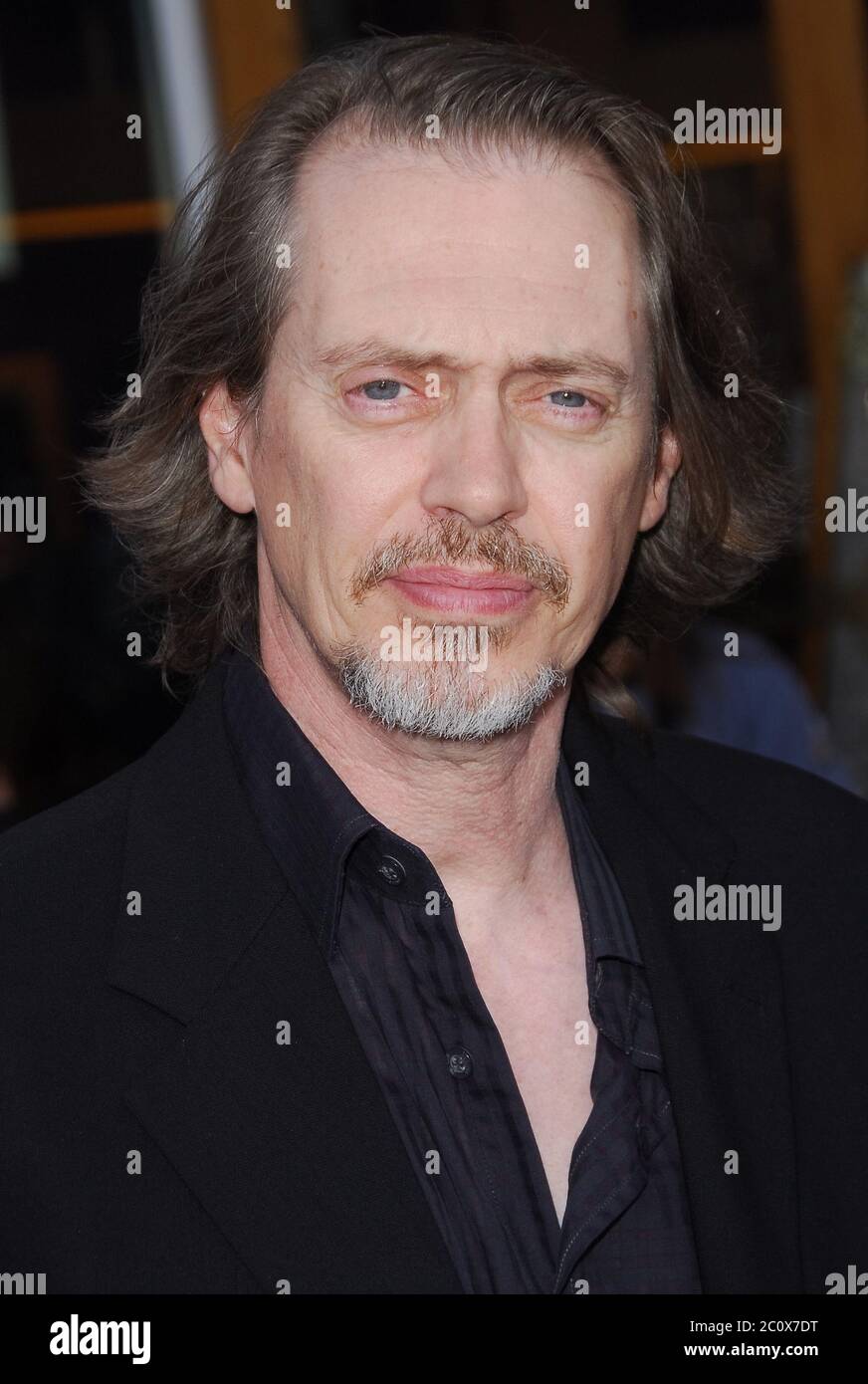 Steve Buscemi at the World Premiere of "I Now Pronounce You Chuck ...