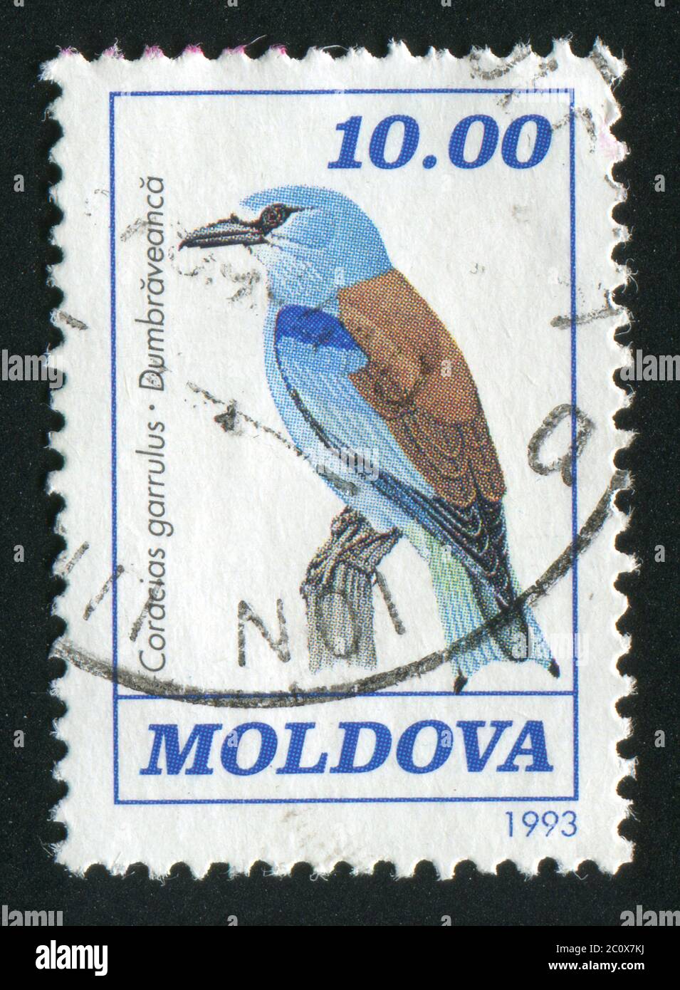 MOLDOVA - CIRCA 1993: Bird on a branch, circa 1993 Stock Photo - Alamy