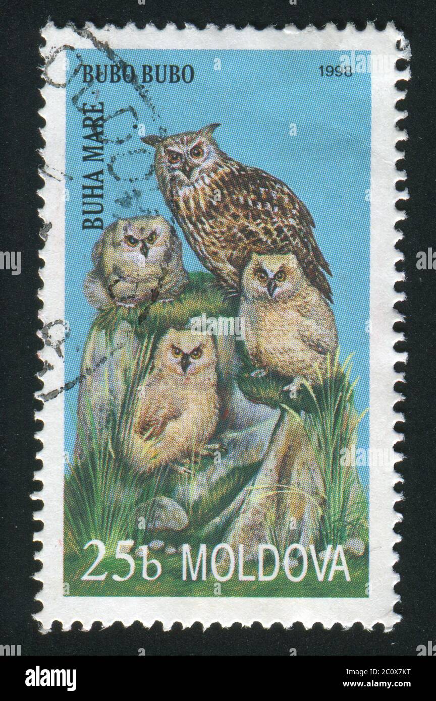 MOLDOVA - CIRCA 1998: owl. Bird on a branch, circa 1998 Stock Photo - Alamy