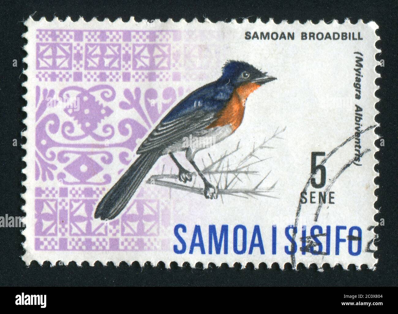 SAMOA - CIRCA 1967: Birds of Western Samoa. Samoan broadbill, circa ...
