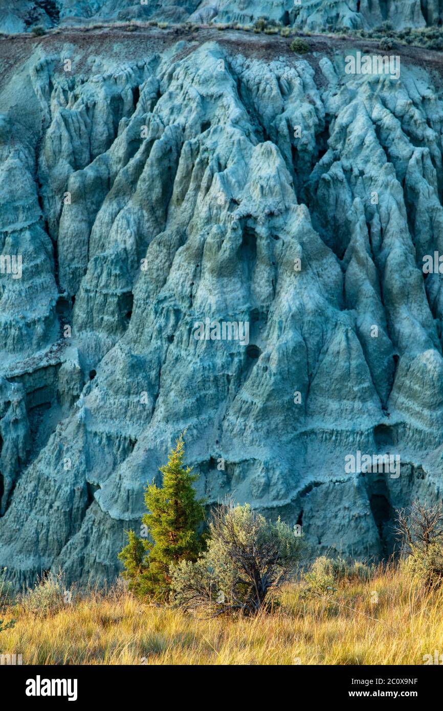 USA, Oregon,Wheeler County, Mitchell, John Day Fossil Beds, National ...