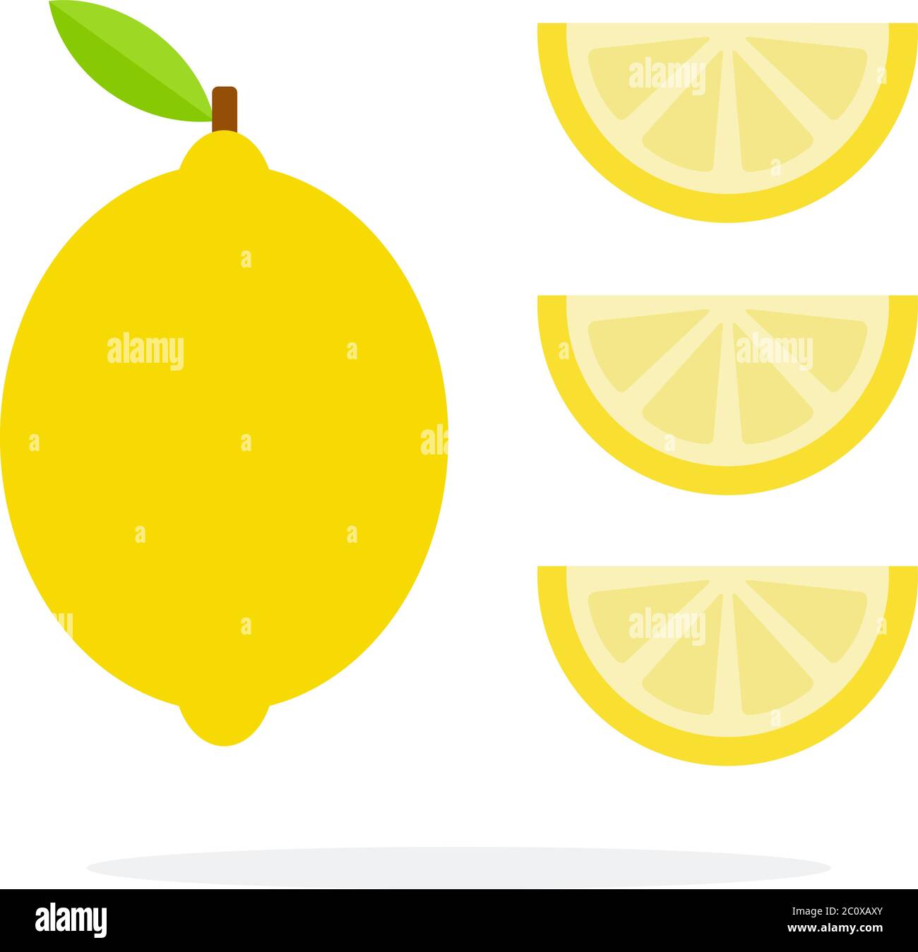Lemon and three slices of lemon vertically flat isolated Stock Vector ...