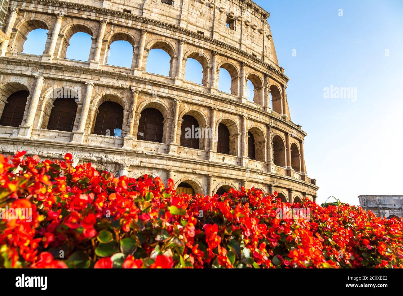 Green colosseum in rome hi-res stock photography and images - Alamy