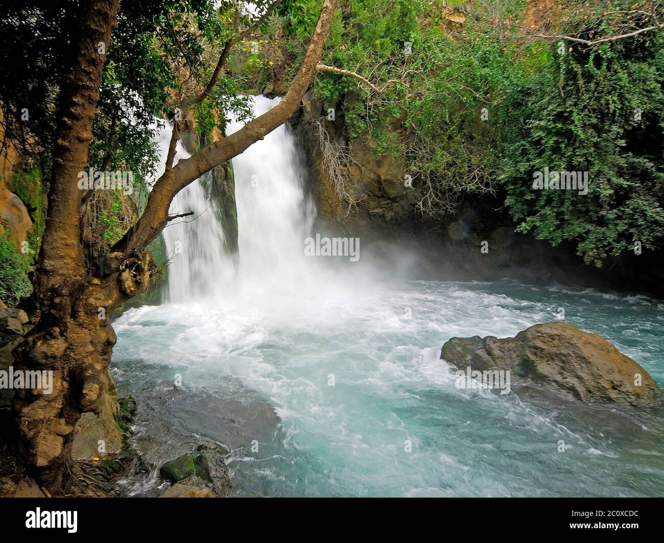 Banias nature reserve israel hi-res stock photography and images - Alamy