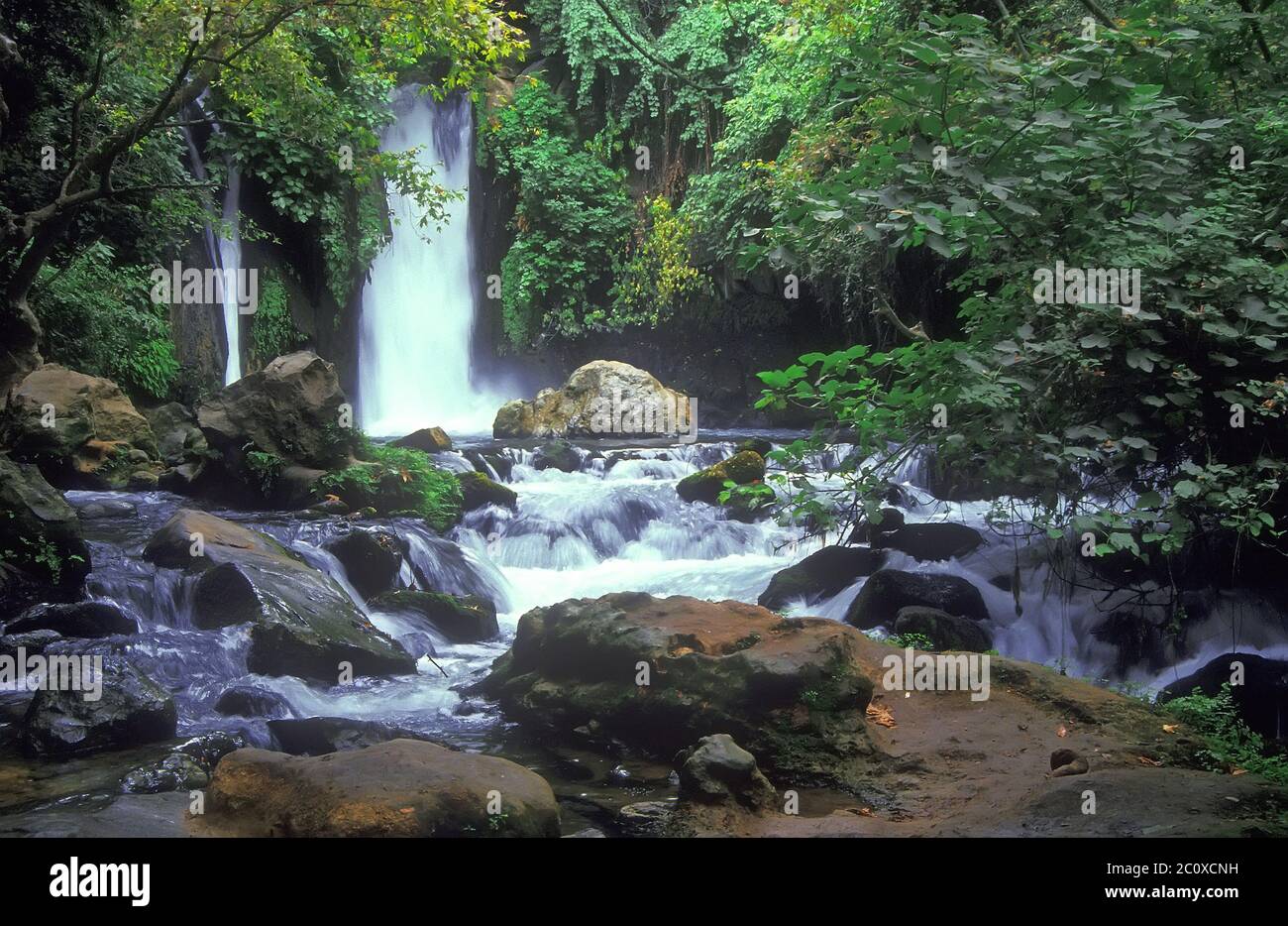 Banias nature reserve israel hi-res stock photography and images - Alamy