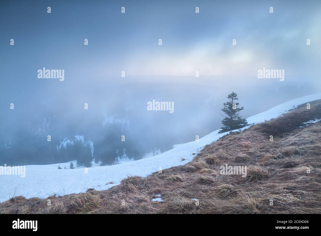 The feldberg mountain hi-res stock photography and images - Alamy
