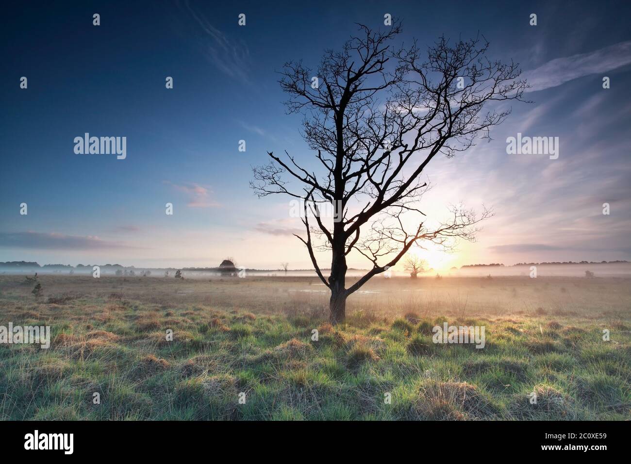 Beautiful spring sunrise hi-res stock photography and images - Alamy