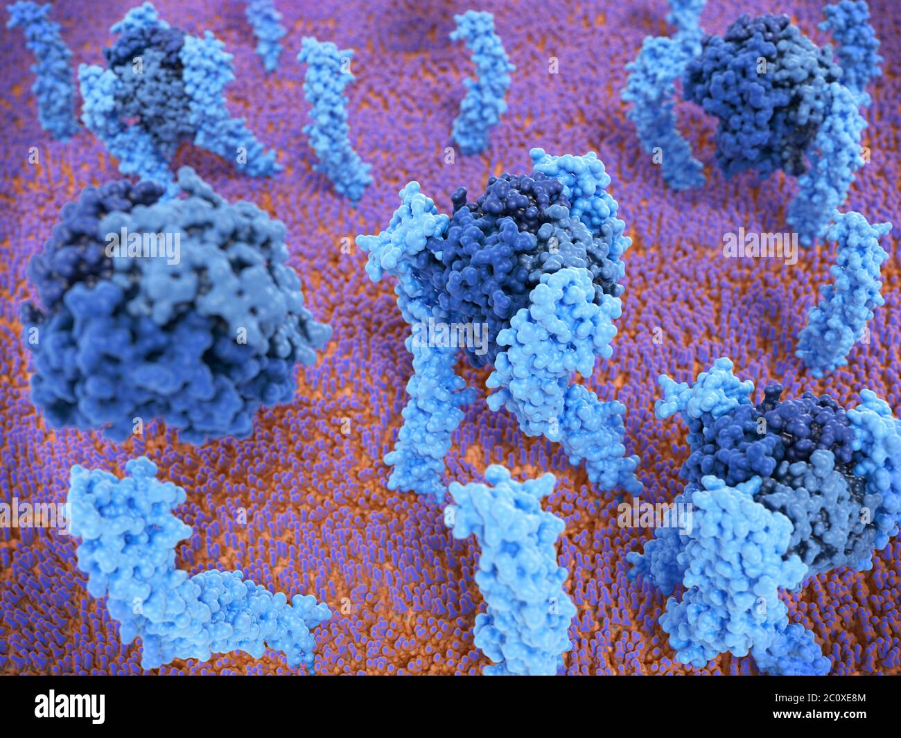 Molecular model of tumour necrosis factor-alpha (TNF-alpha) molecules ... Molecular model of tumour necrosis factor-alpha (TNF-alpha) molecules ...
