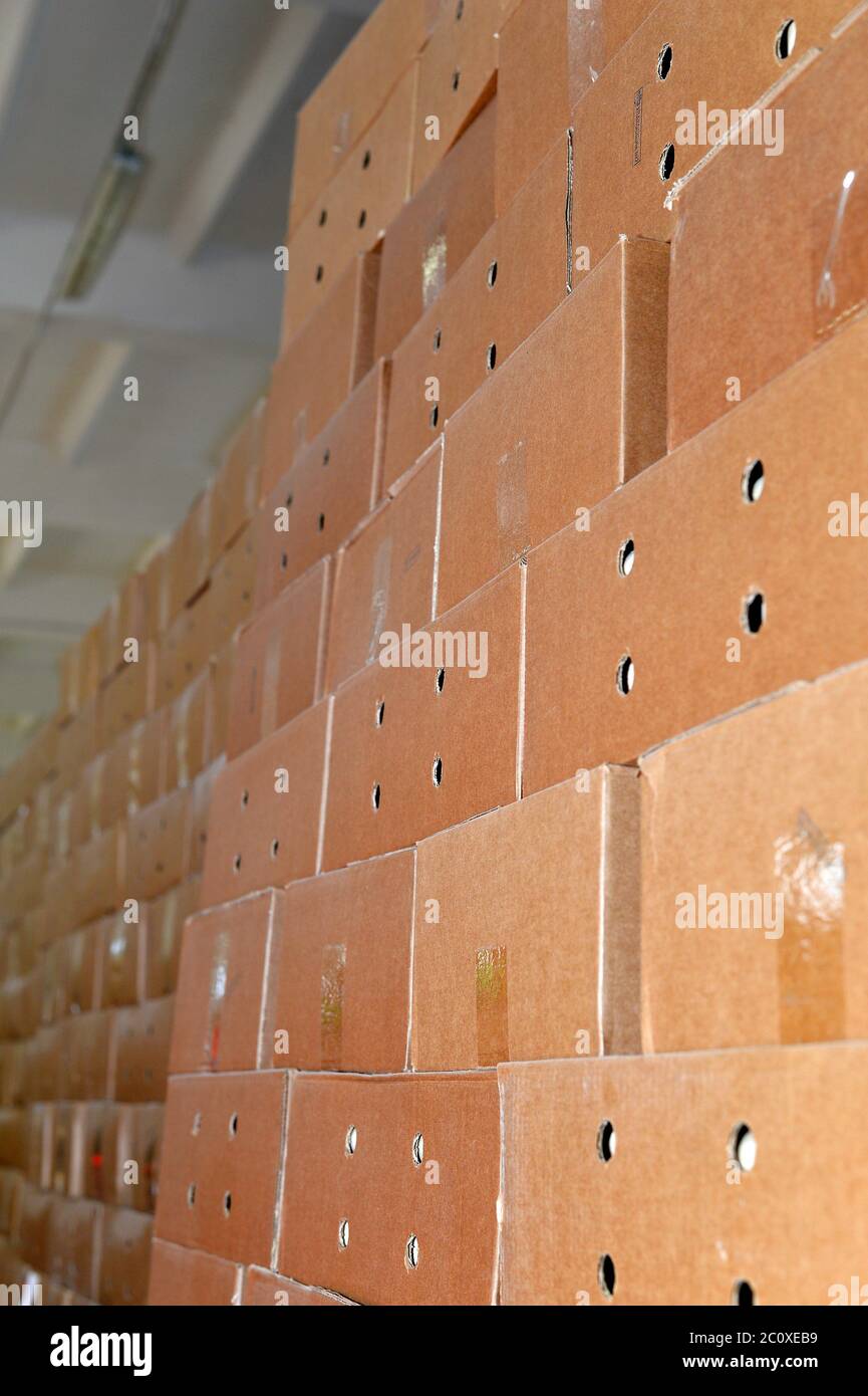 Packing boxes hi-res stock photography and images - Alamy