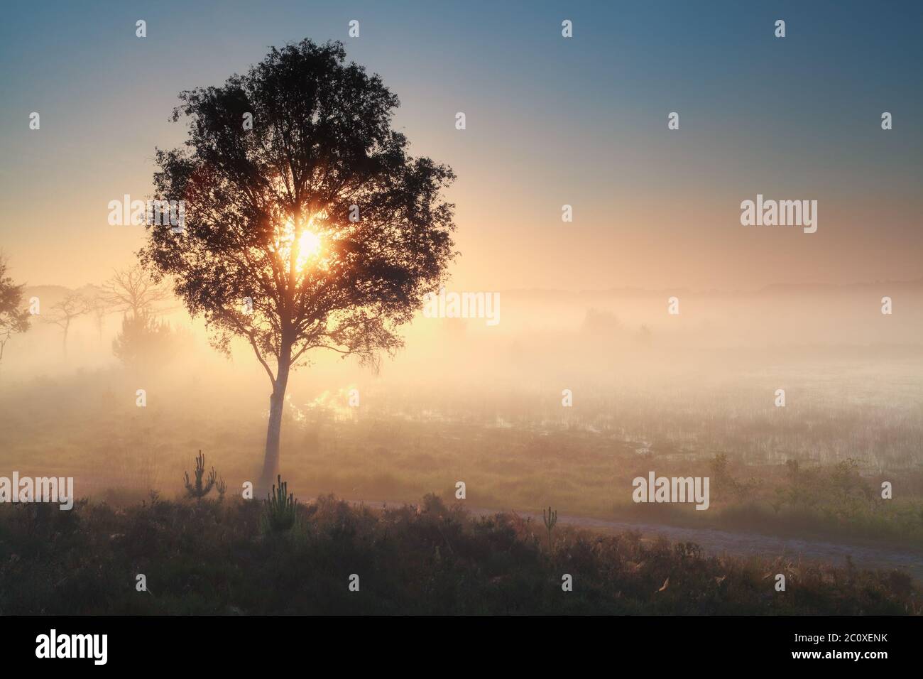 During sunshine hi-res stock photography and images - Alamy
