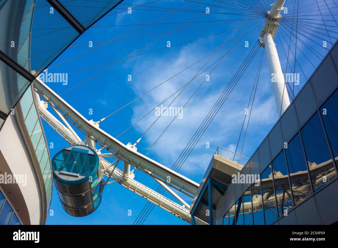 Eastern flyer hi-res stock photography and images - Alamy