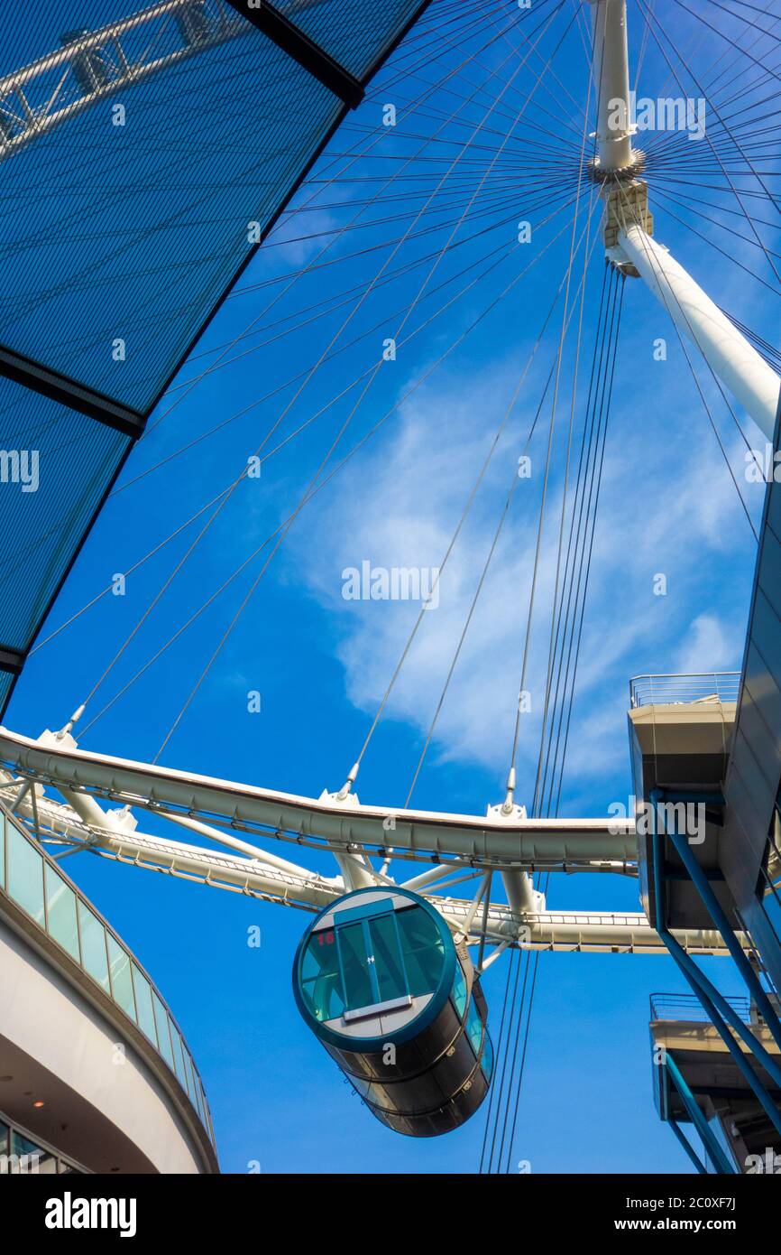 Eastern flyer hi-res stock photography and images - Alamy