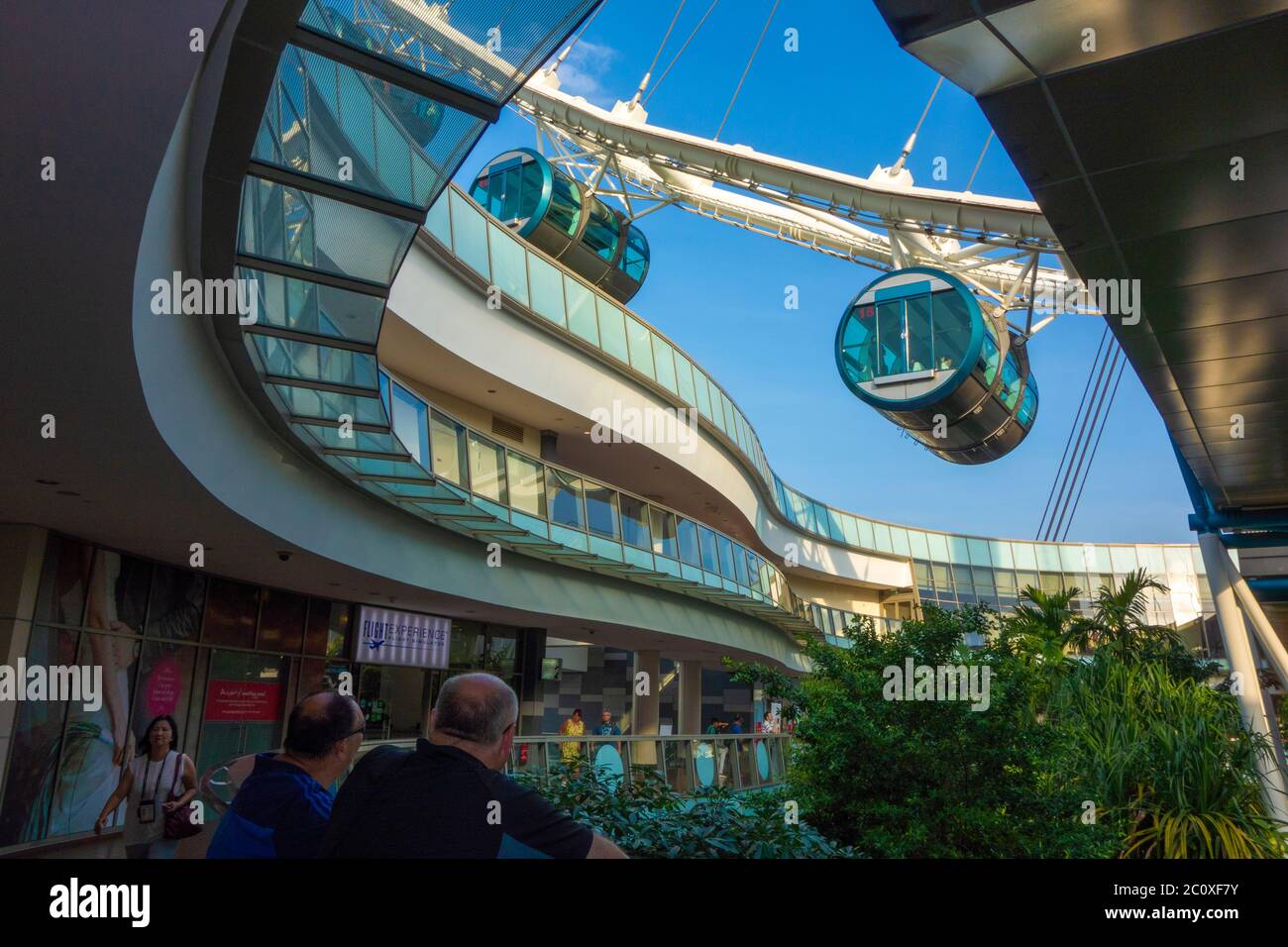 Eastern flyer hi-res stock photography and images - Alamy