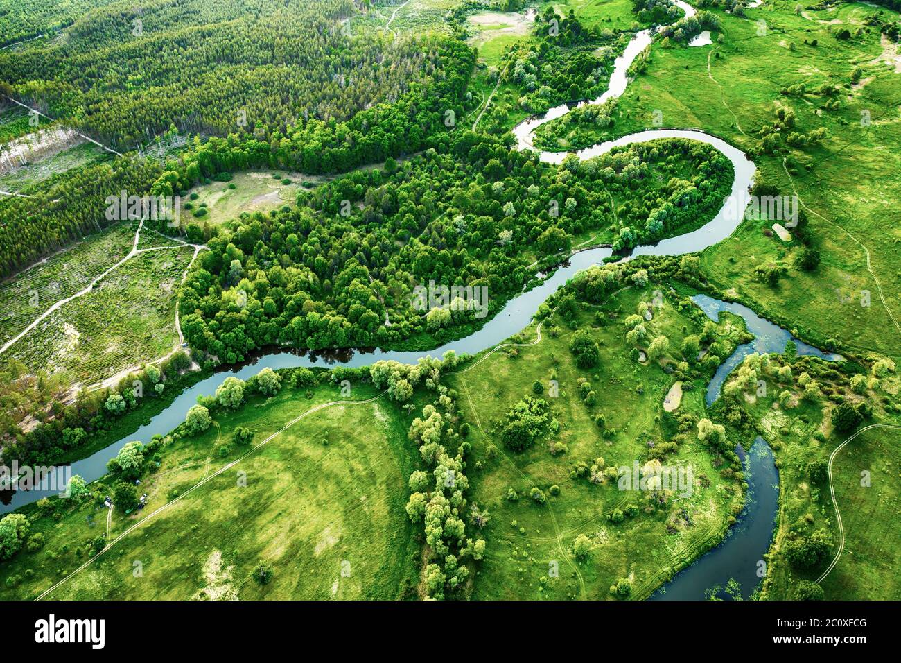 Aerial landscape of winding river in green field, top view of beautiful ...
