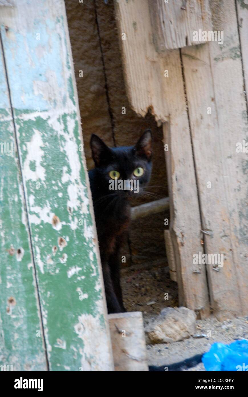 Eyes behind door hi-res stock photography and images - Alamy