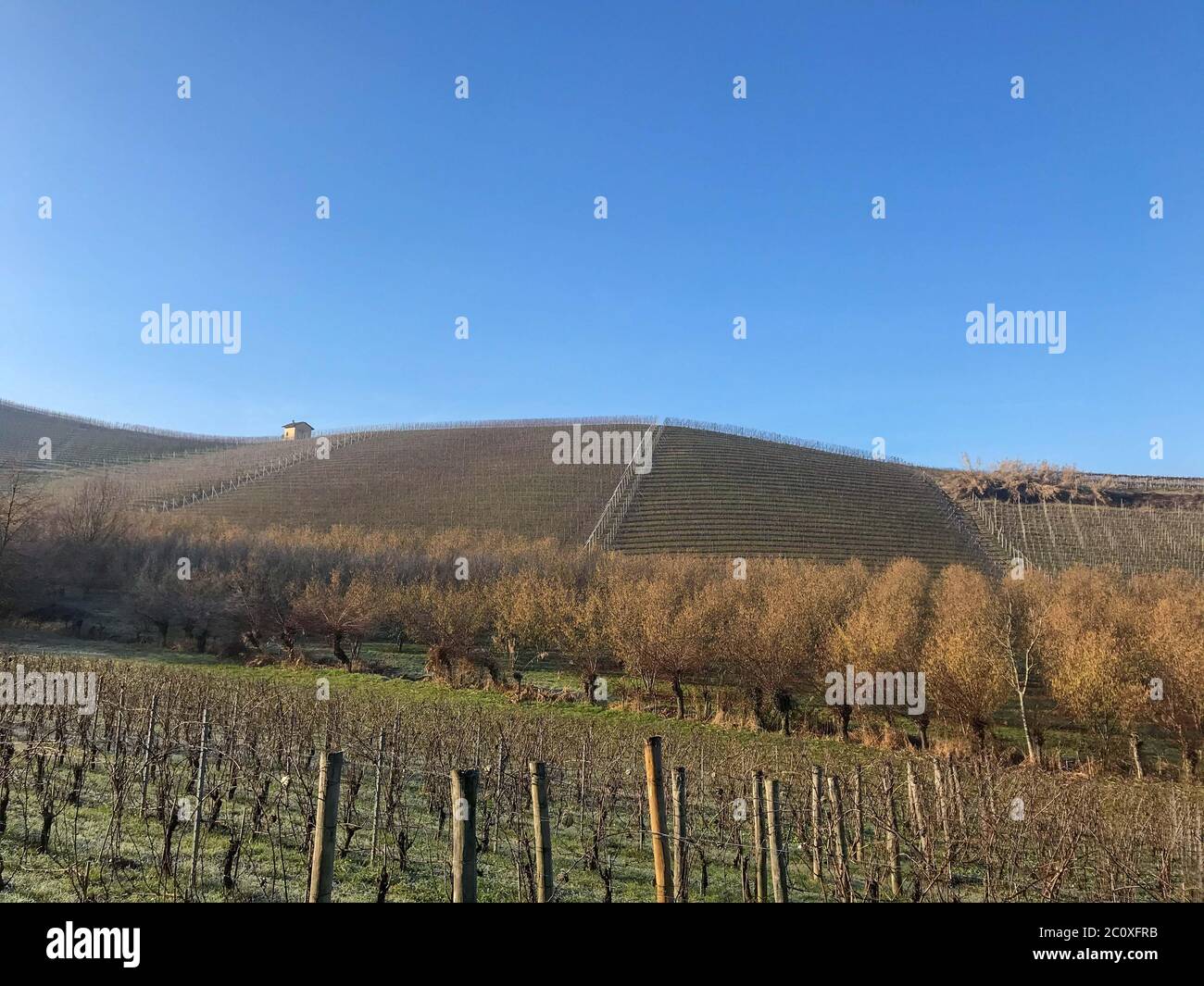 Bussia vineyard hi-res stock photography and images - Alamy