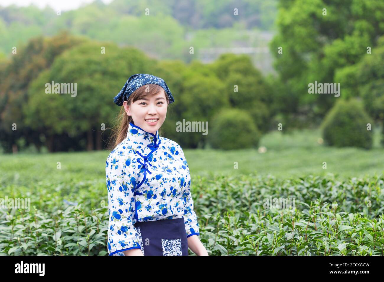 beautiful Asian girl in tea plantation Stock Photo - Alamy