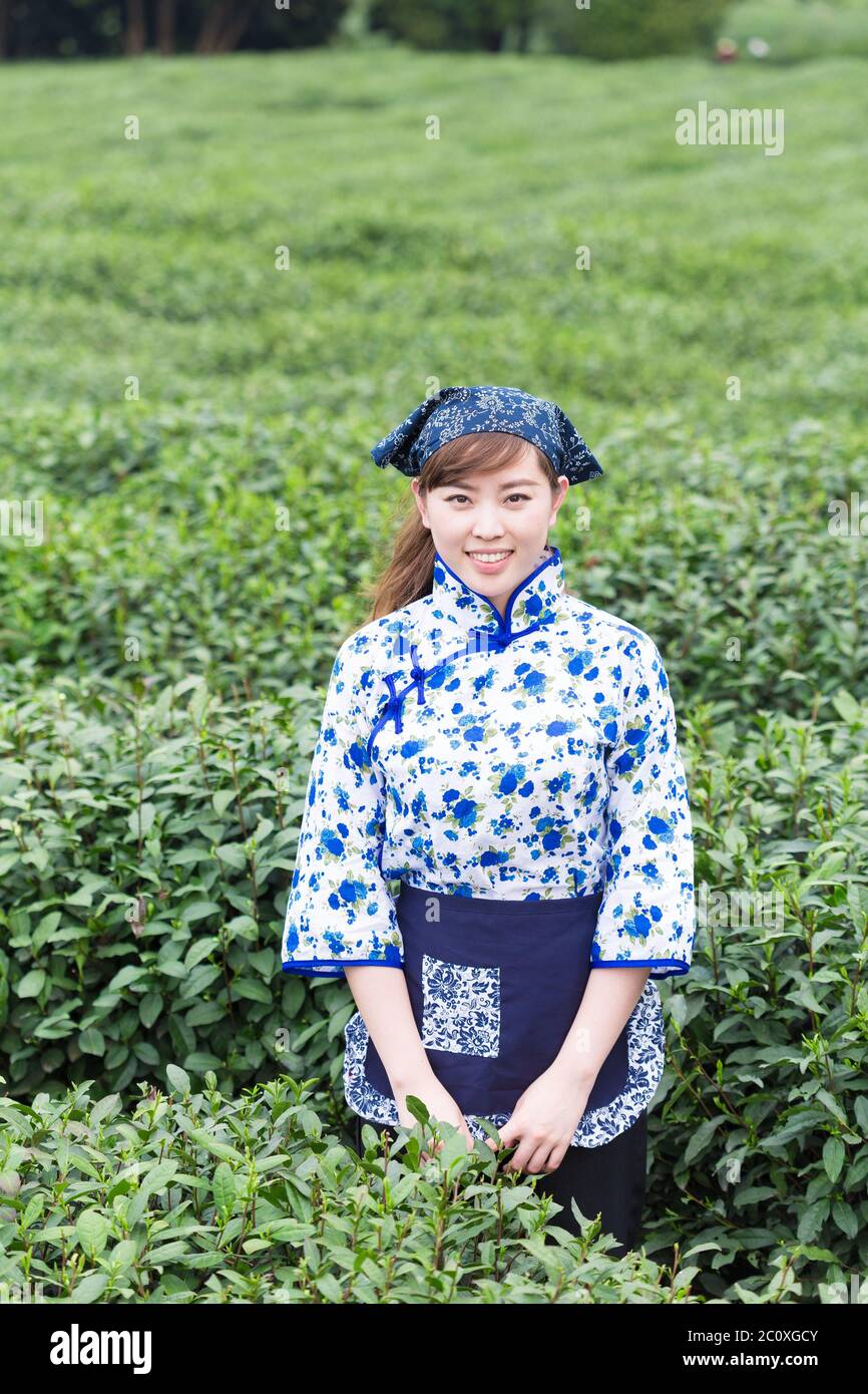 beautiful Asian girl in tea plantation Stock Photo - Alamy