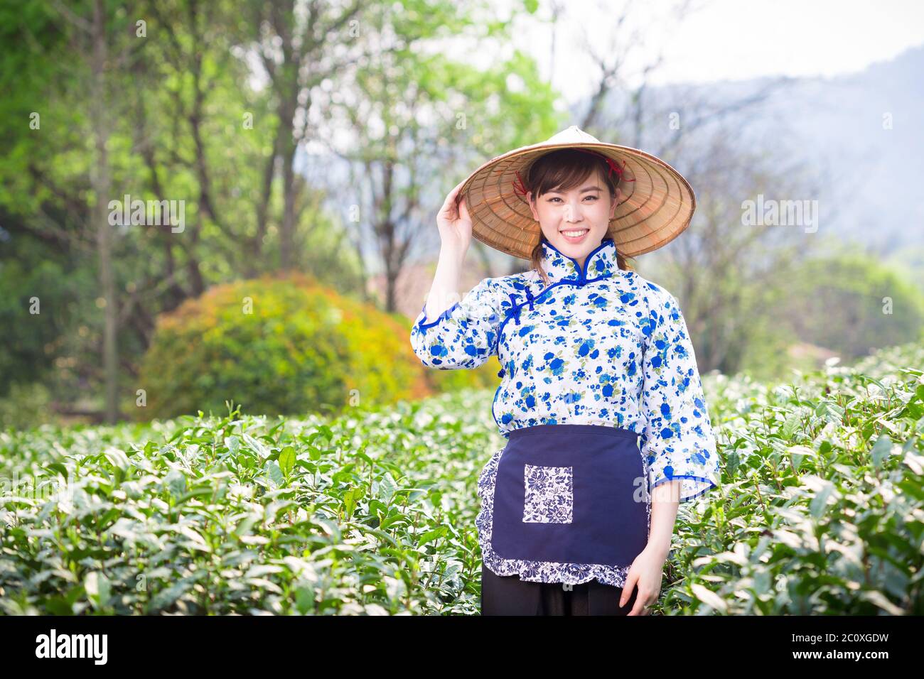 beautiful Asian girl in tea plantation Stock Photo - Alamy